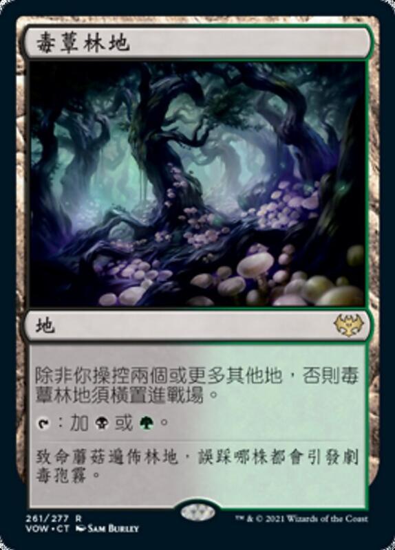 [格得寶窟]MTG_VOW_R卡_幻根瀑布_Dreamroot Cascade_中日_NM | 露天市集 | 全台最大的網路購物市集