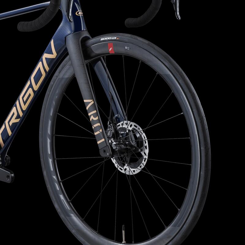 Trigon Ar01 Review at Tayla Hunter blog