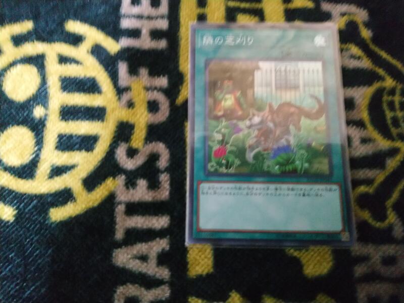 【文化卡鋪】 RC02-JP041 除草機旁 (亮面) | 露天市集 | 全台最大的網路購物市集