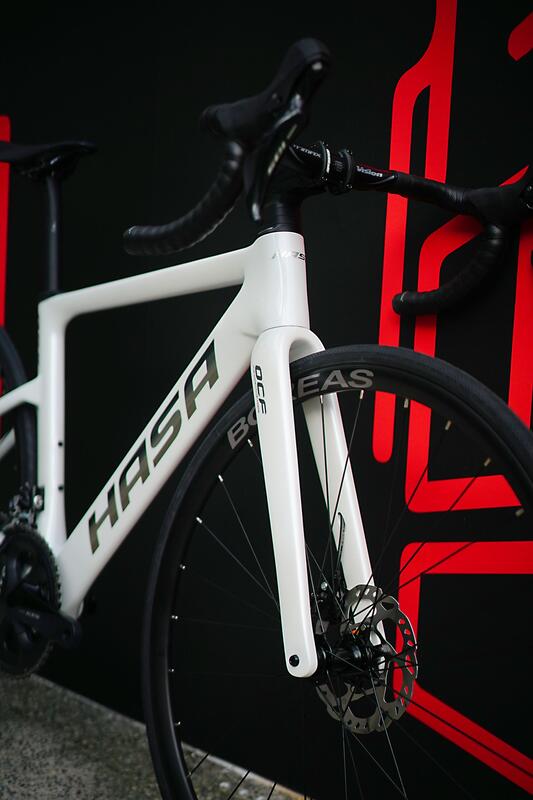 HASA RSX碟煞公路車 全隱藏走線 車架組與成車方案 RS1高級版 > BIKEfun拜訪單車 | 露天市集 | 全台最大的網路購物市集